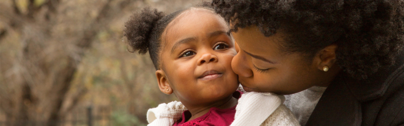 HCV Program (Section 8) - APHA